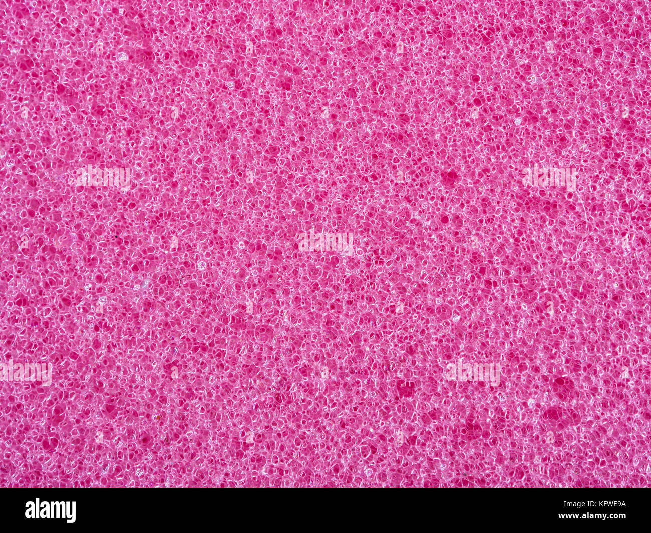 closeup of pink sponge texture Stock Photo - Alamy