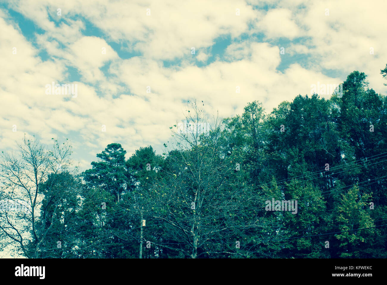 Lanky people hi-res stock photography and images - Alamy