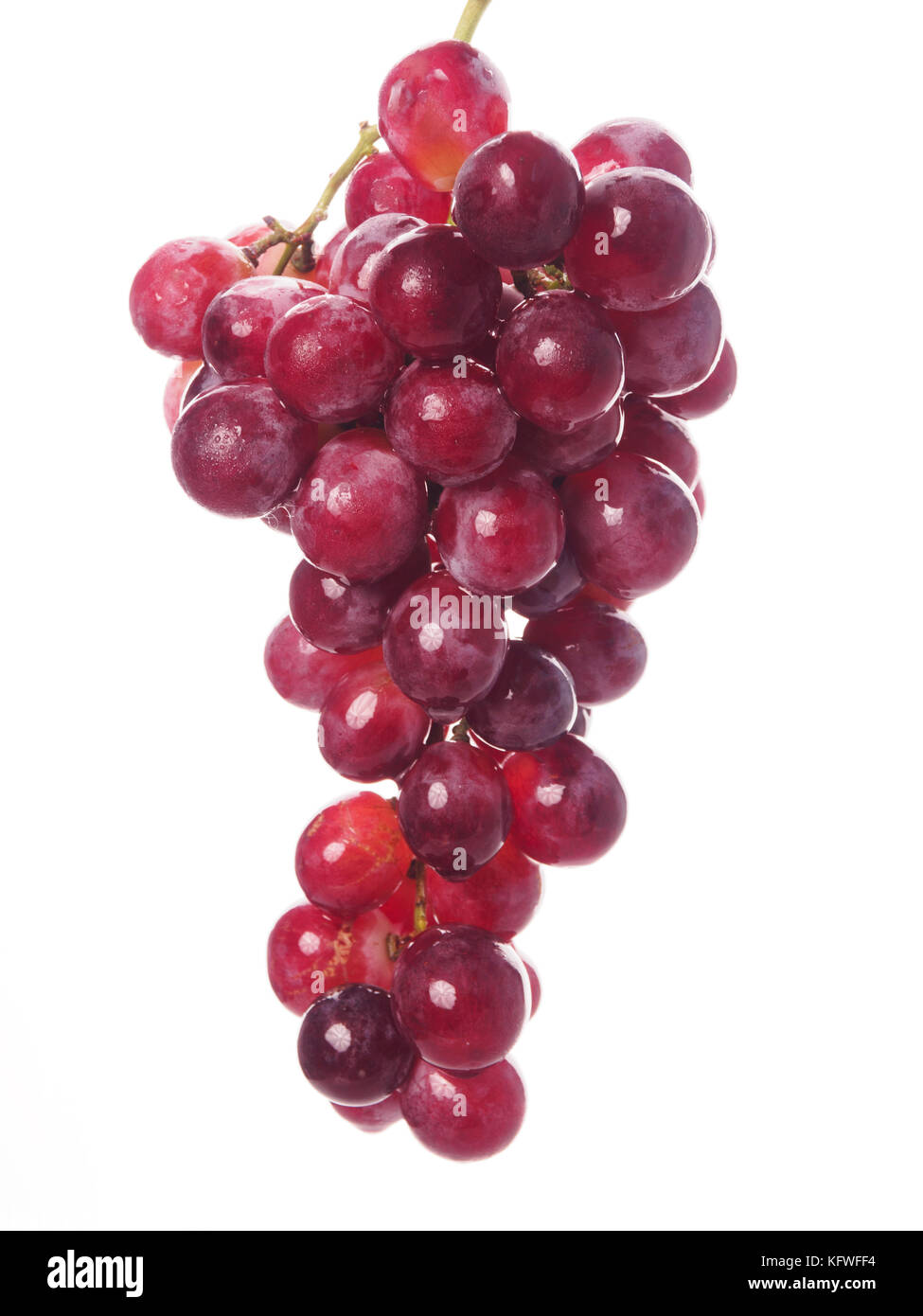 grapes isolated on white background Stock Photo - Alamy