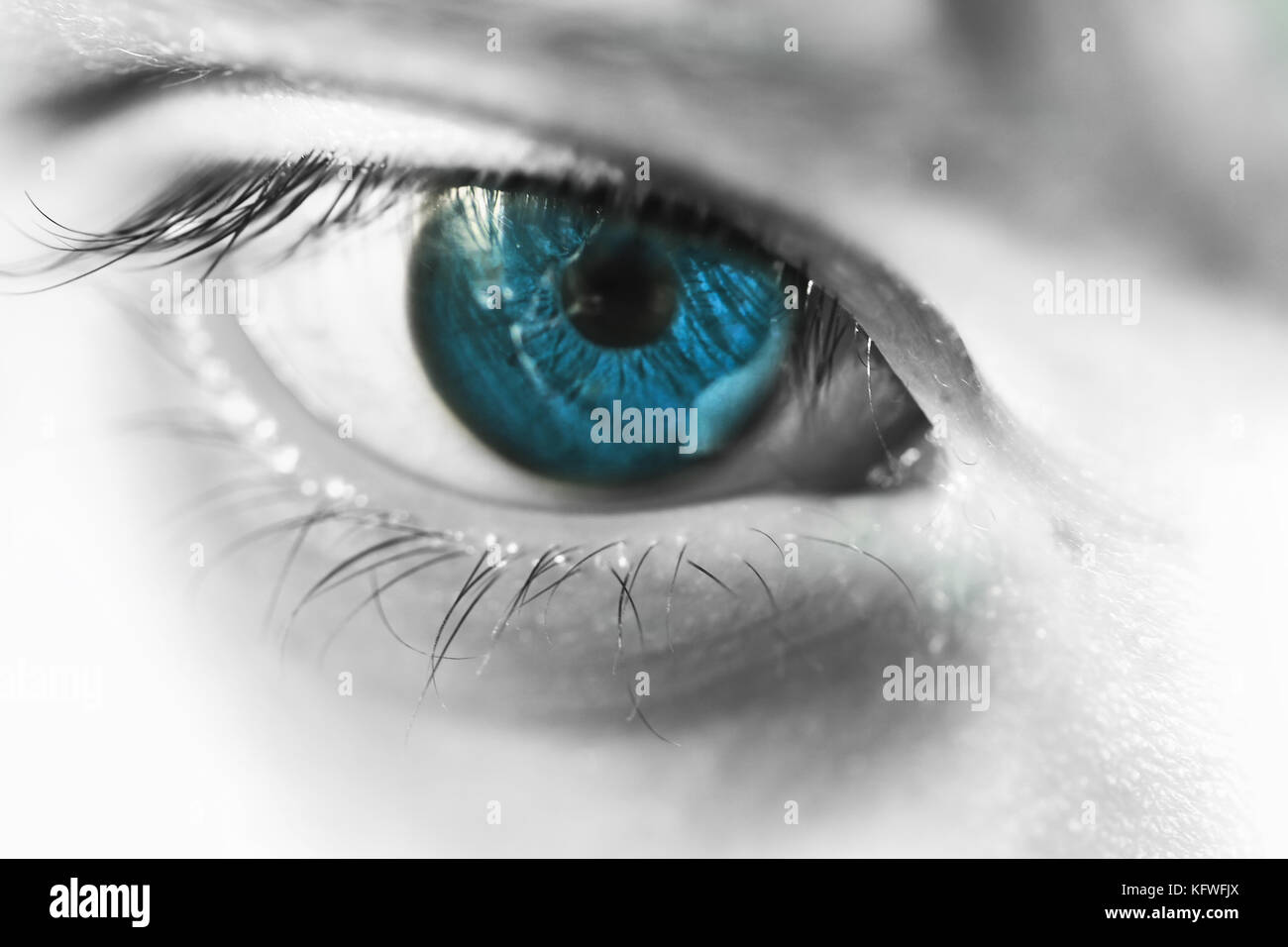 Blue macro eye Stock Photo - Alamy
