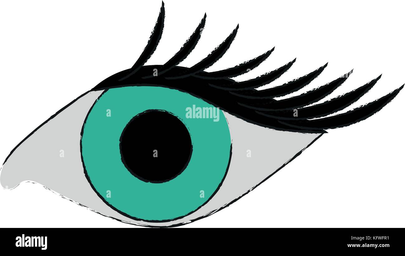single eye with lashes icon image Stock Vector Image & Art - Alamy