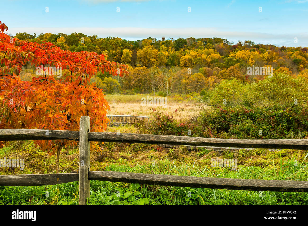 Connecticut Fall Foliage Stock Photo - Alamy