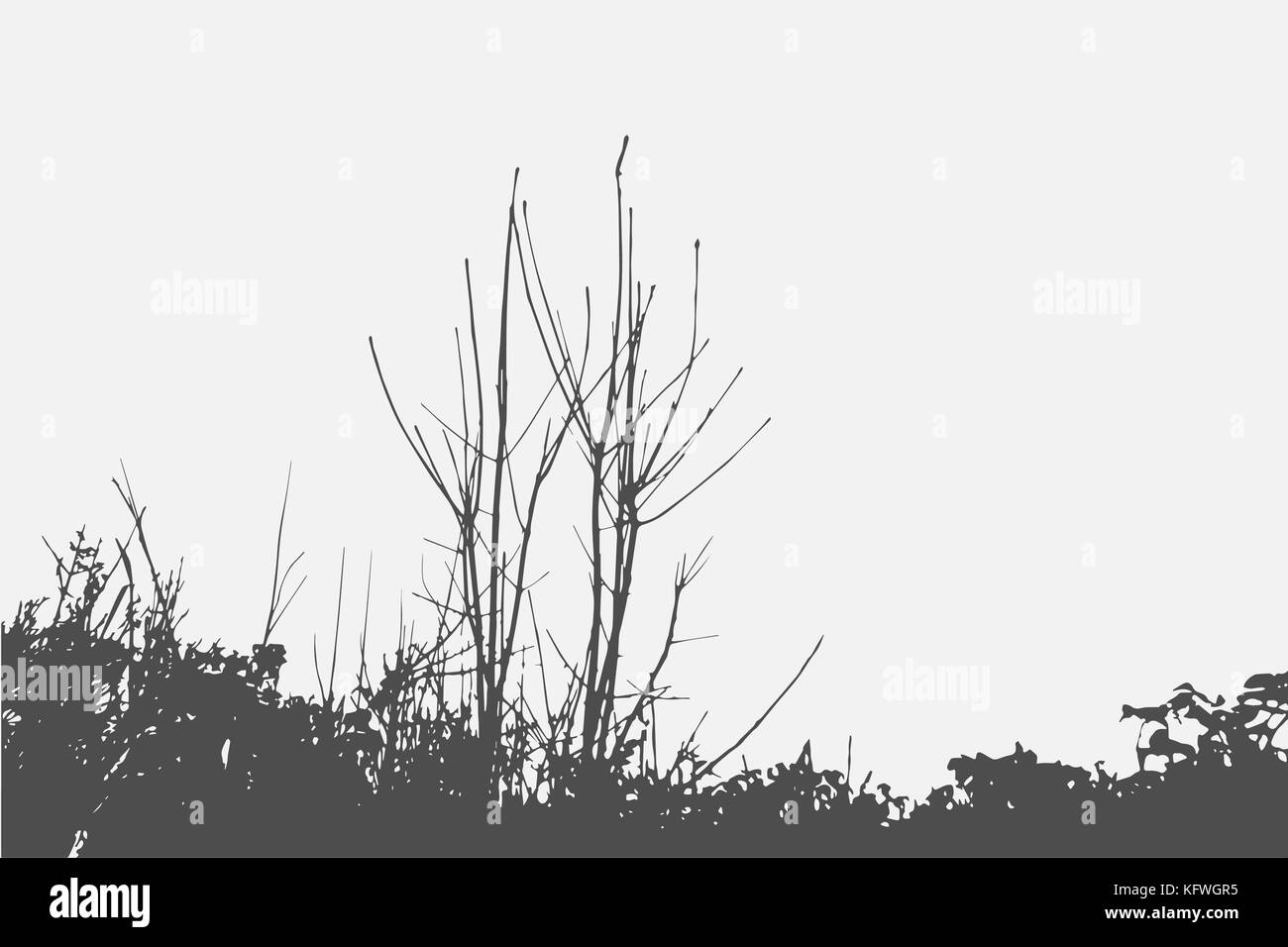 Silhouettes of Trees on subtle background. Tree Pattern. Vector ...