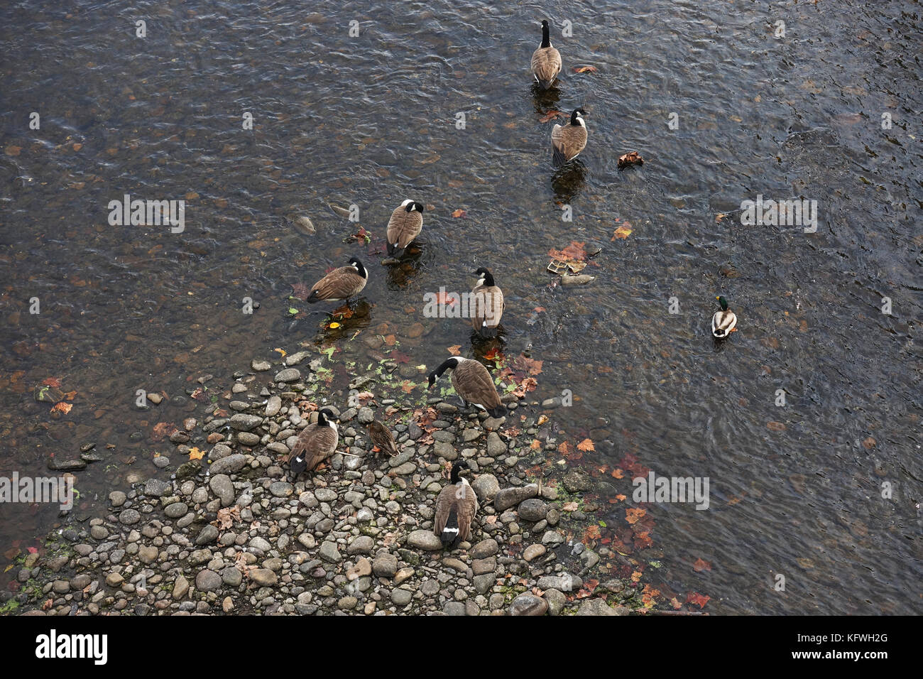Perry river canada hi-res stock photography and images - Alamy