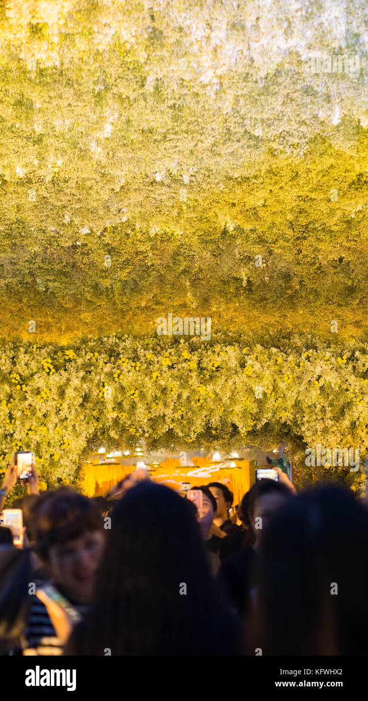 Yellow flowers decorated ceiling Stock Photo - Alamy