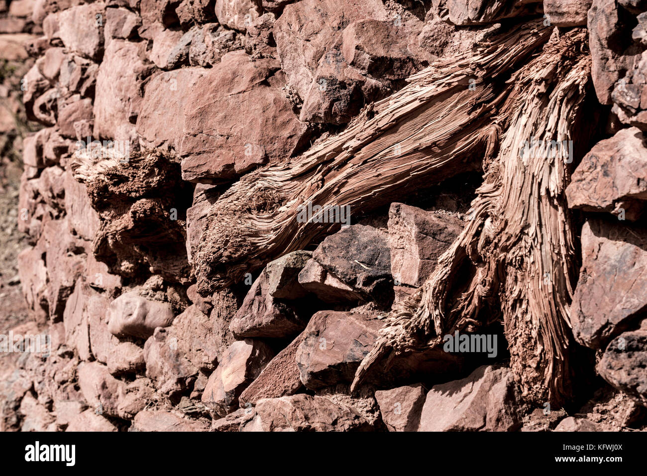 Indigenous landscape hi-res stock photography and images - Alamy