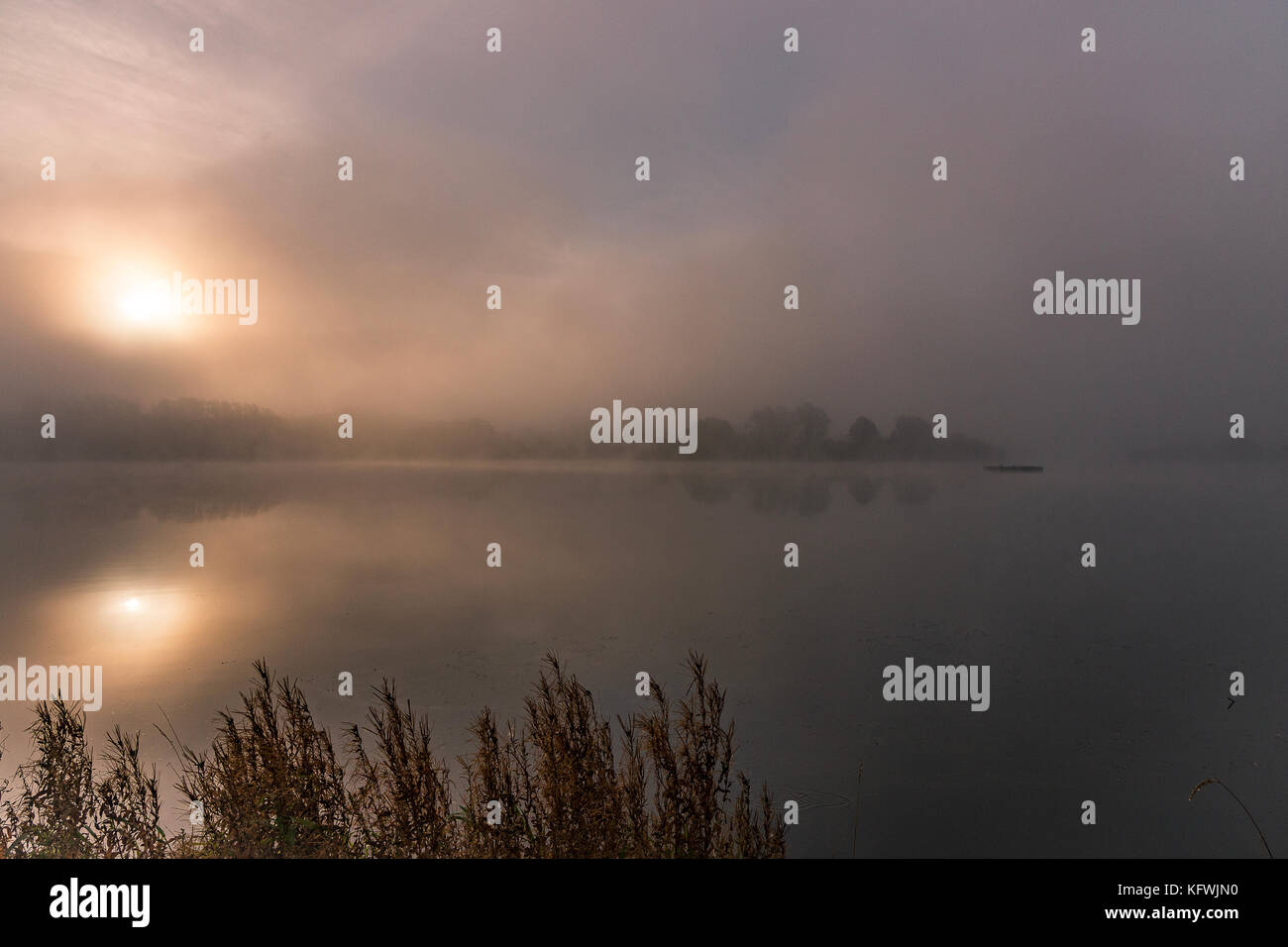A foggy morning at Craigavon City Park Lakes Stock Photo - Alamy