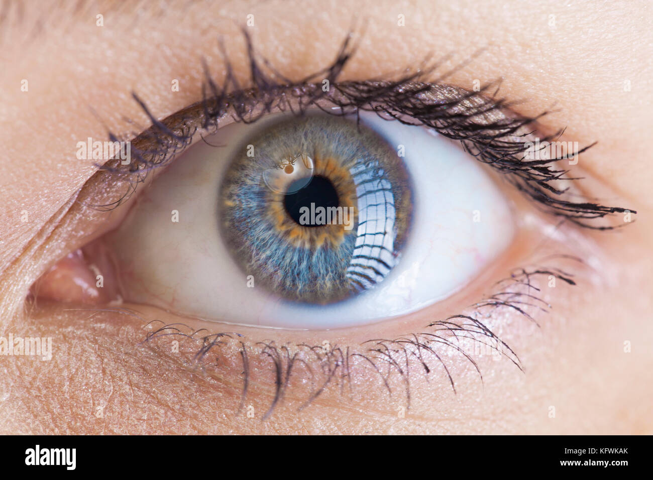 Blue eye of a beautiful woman Stock Photo - Alamy