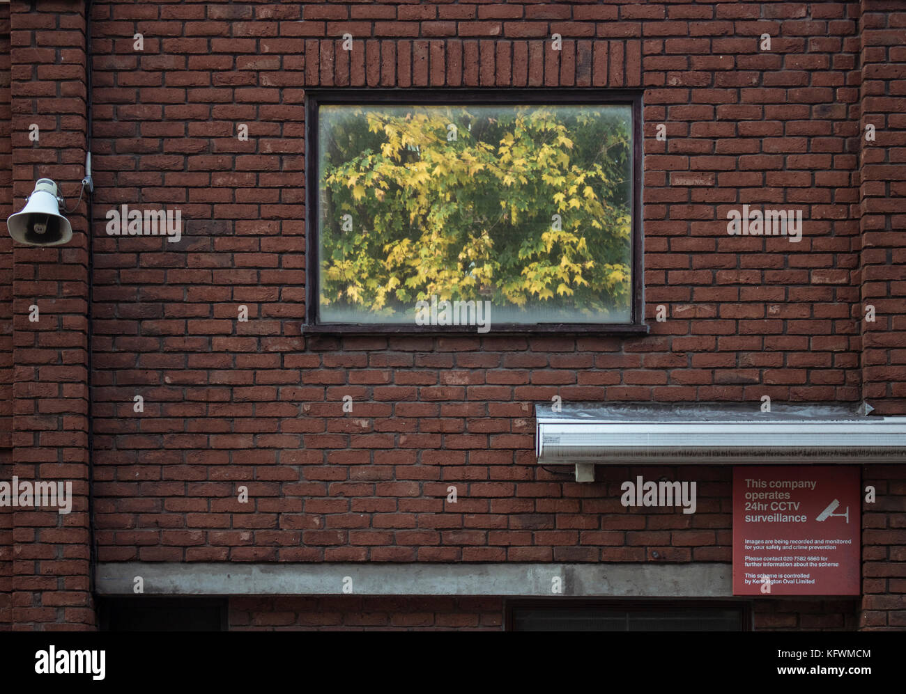 brick wall with tree reflected on the window, London Stock Photo - Alamy