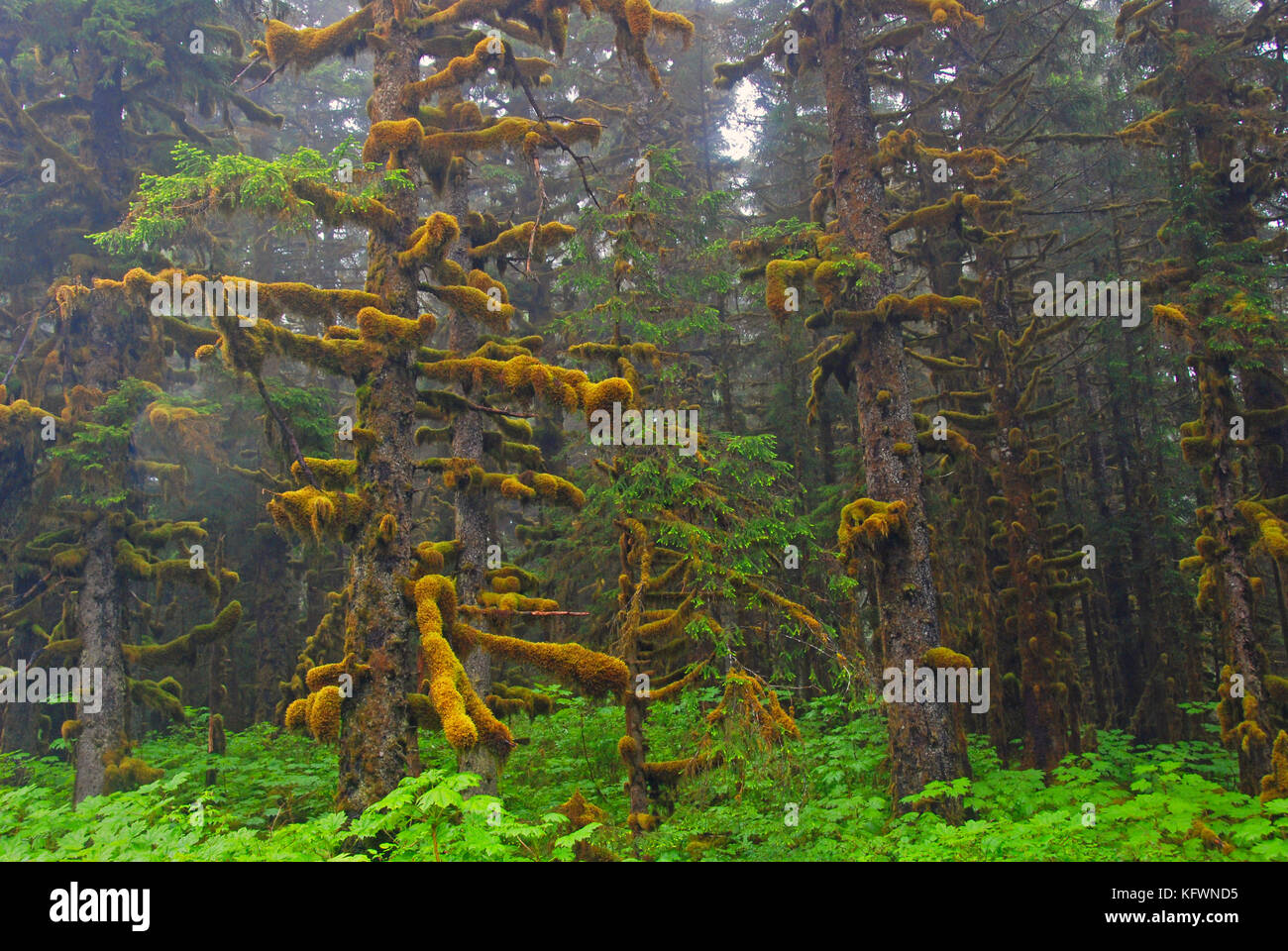 Ocean biome hi-res stock photography and images - Alamy