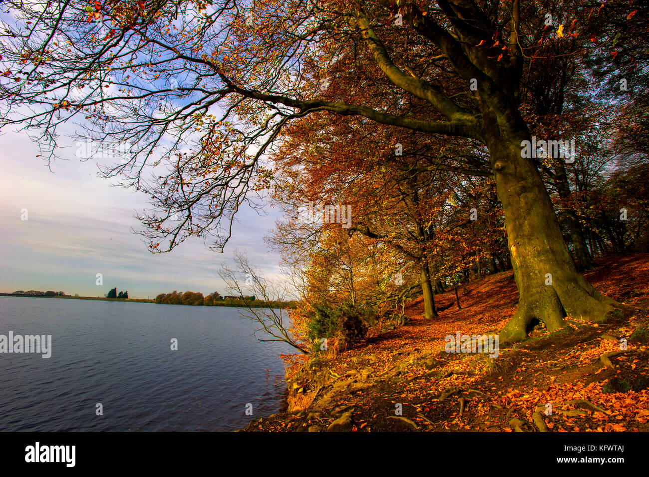 Anglezarke reservoir hi-res stock photography and images - Alamy