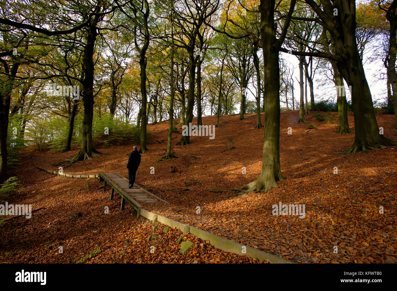 Anglezarke reservoir and woods, Chorley, Lancashire, UK. 1st November ...