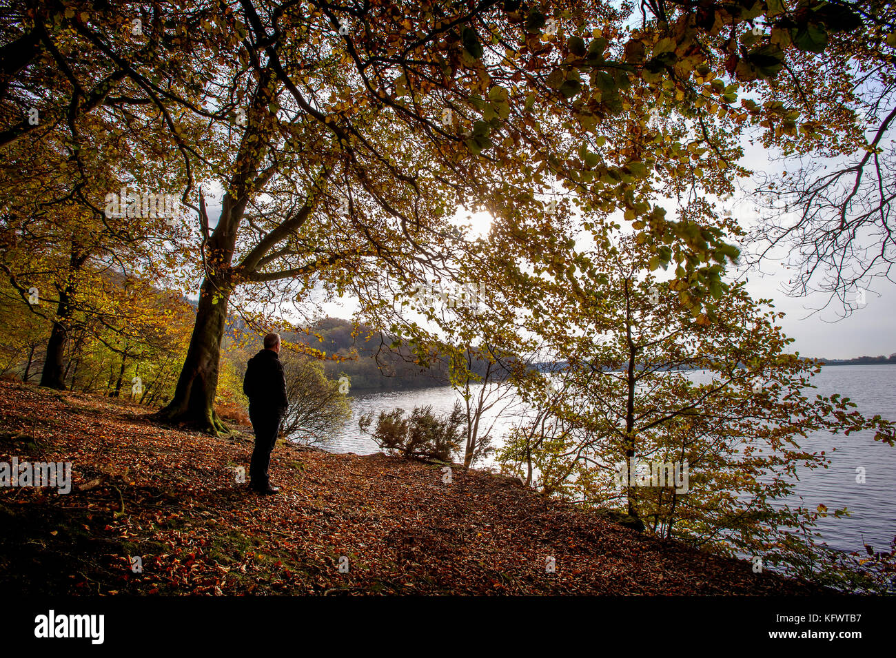 Anglezarke reservoir and woods, Chorley, Lancashire, UK. 1st November ...