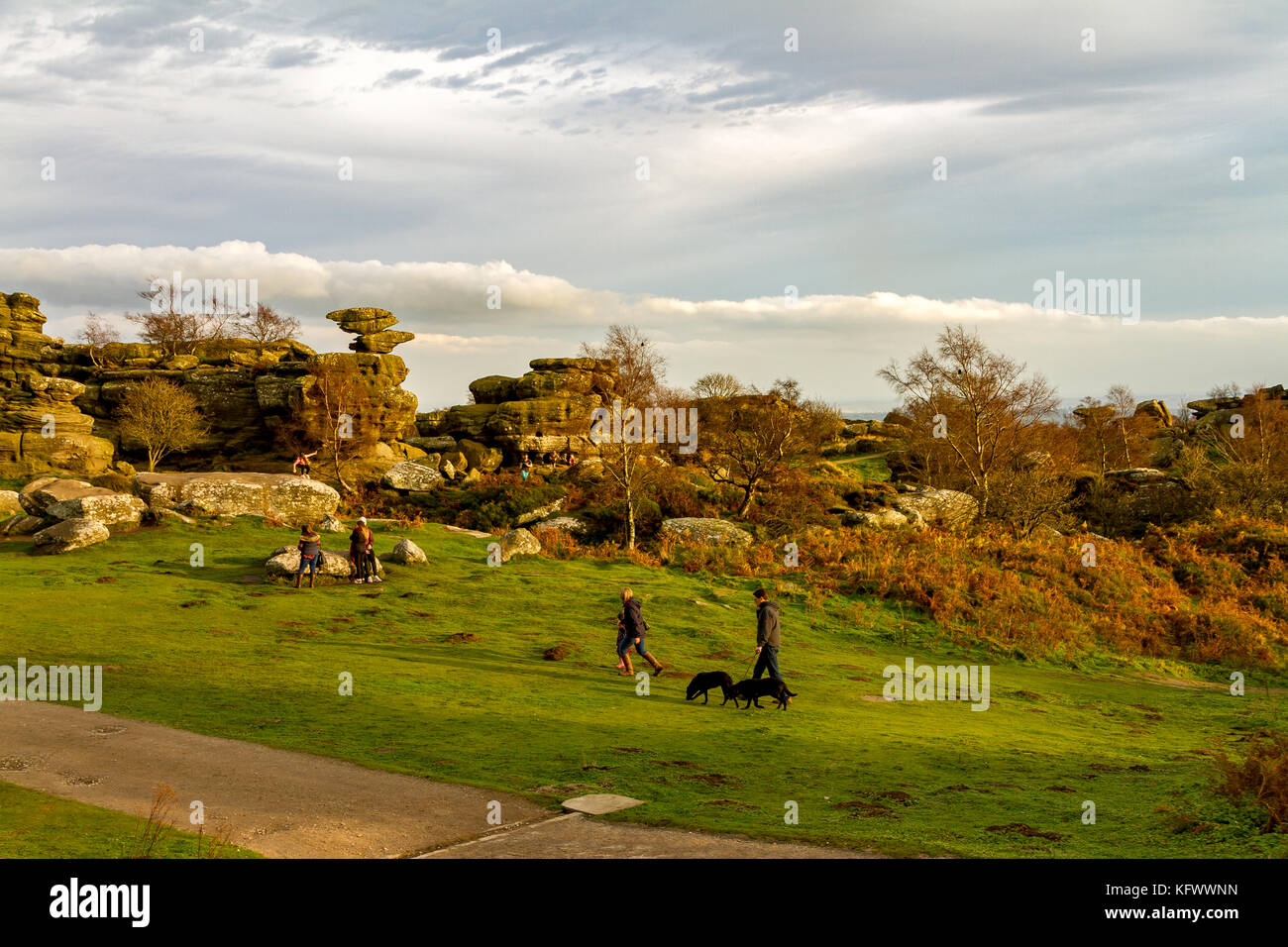 Dog walking at brimham rocks hi-res stock photography and images - Alamy