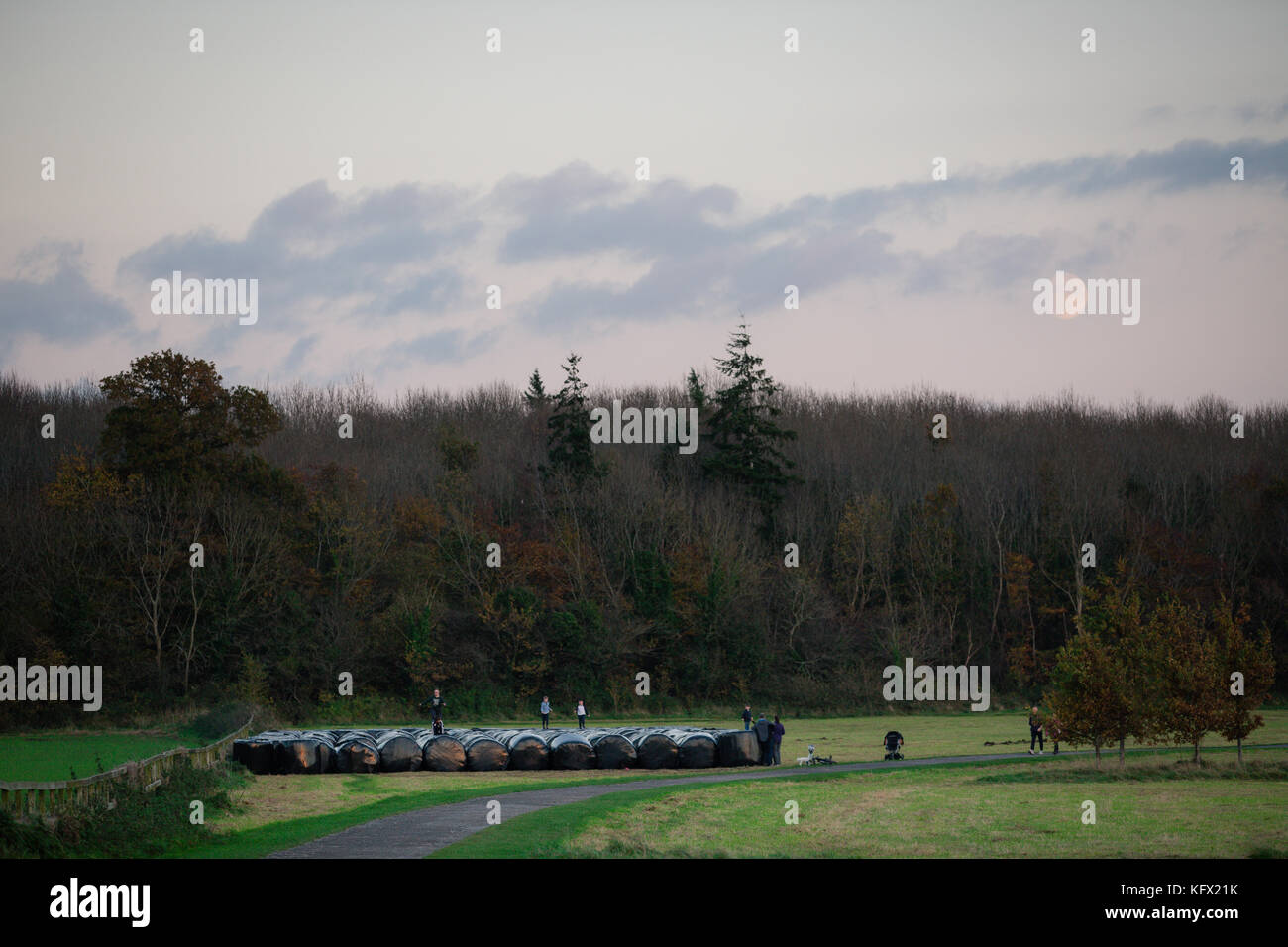 Celbridge Castletown Park, Ireland. 1st Nov, 2017. UK Weather. Kids ...