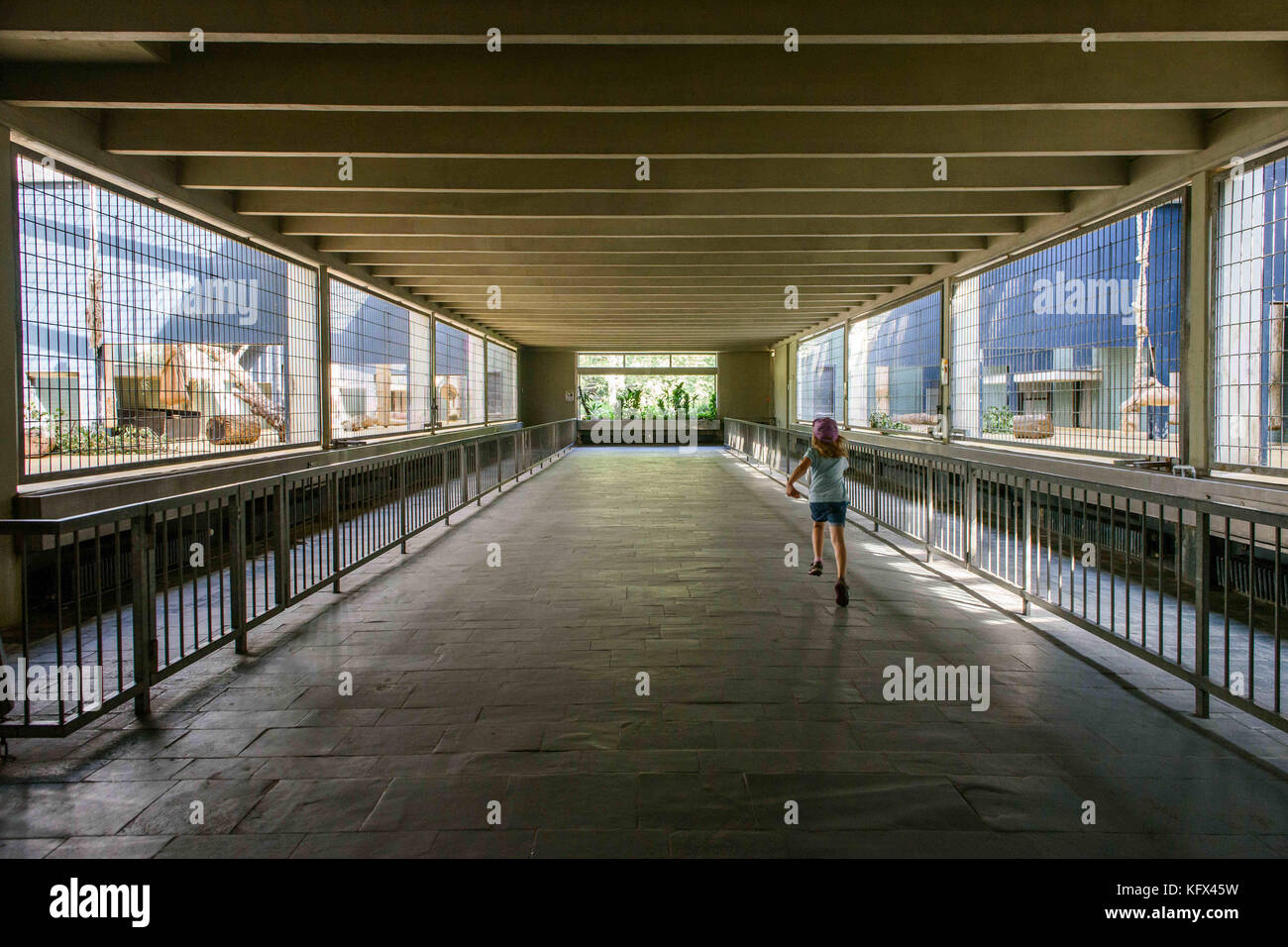 Berlin, Germany. 17th Aug, 2017. A child runs through the predator ...