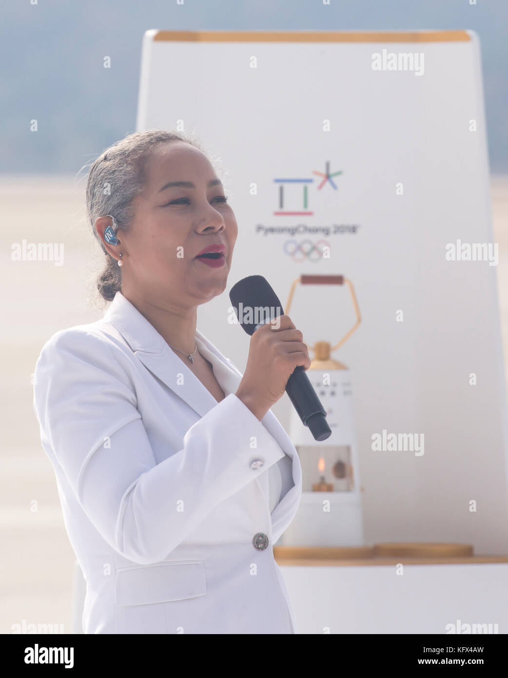 Insooni, Nov 1, 2017 : South Korean singer Insooni performs as the ...