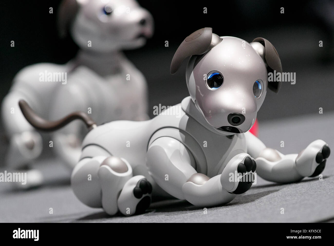 Tokyo, Japan. 1st Nov, 2017. Sony's new robot ''aibo'' on display ...