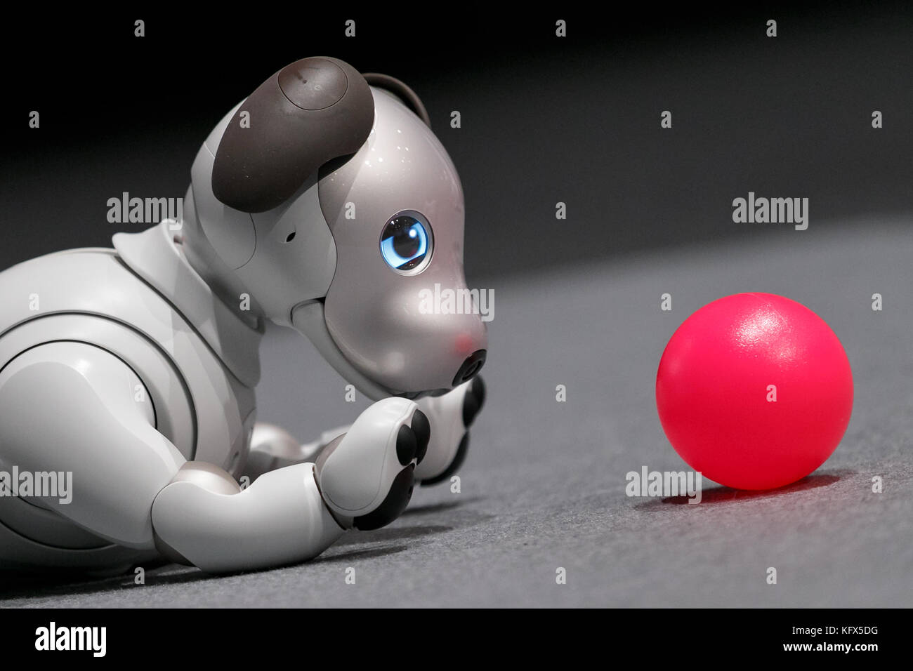 Tokyo, Japan. 1st Nov, 2017. Sony's new robot ''aibo'' on display ...
