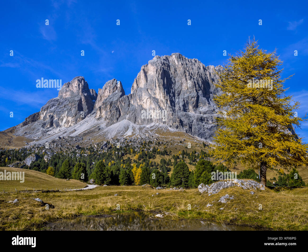 Dolomites, Sella Pass South Tyrol, Italy Stock Photo - Alamy