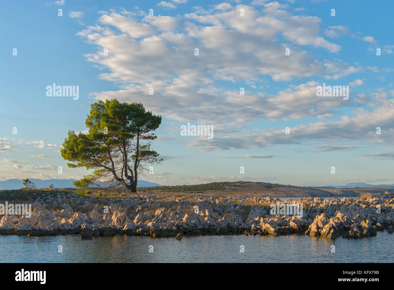 Soline Bay in Krk Island, Croatia Stock Photo - Alamy