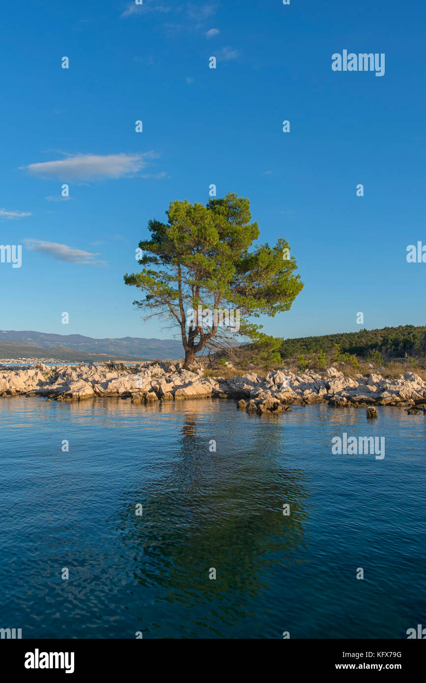 Soline Bay in Krk Island, Croatia Stock Photo - Alamy