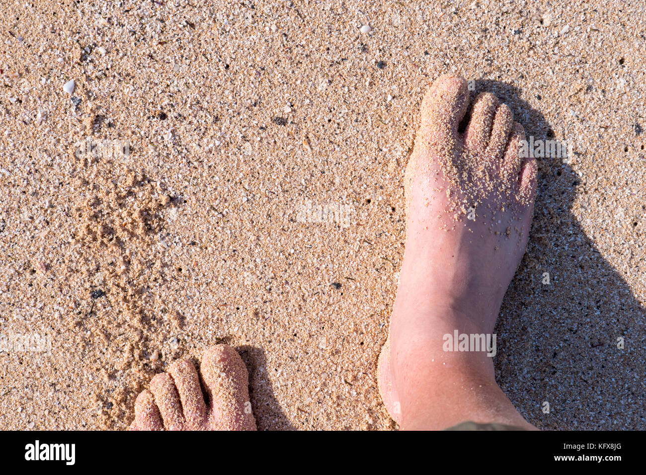 On the beach Stock Photo - Alamy