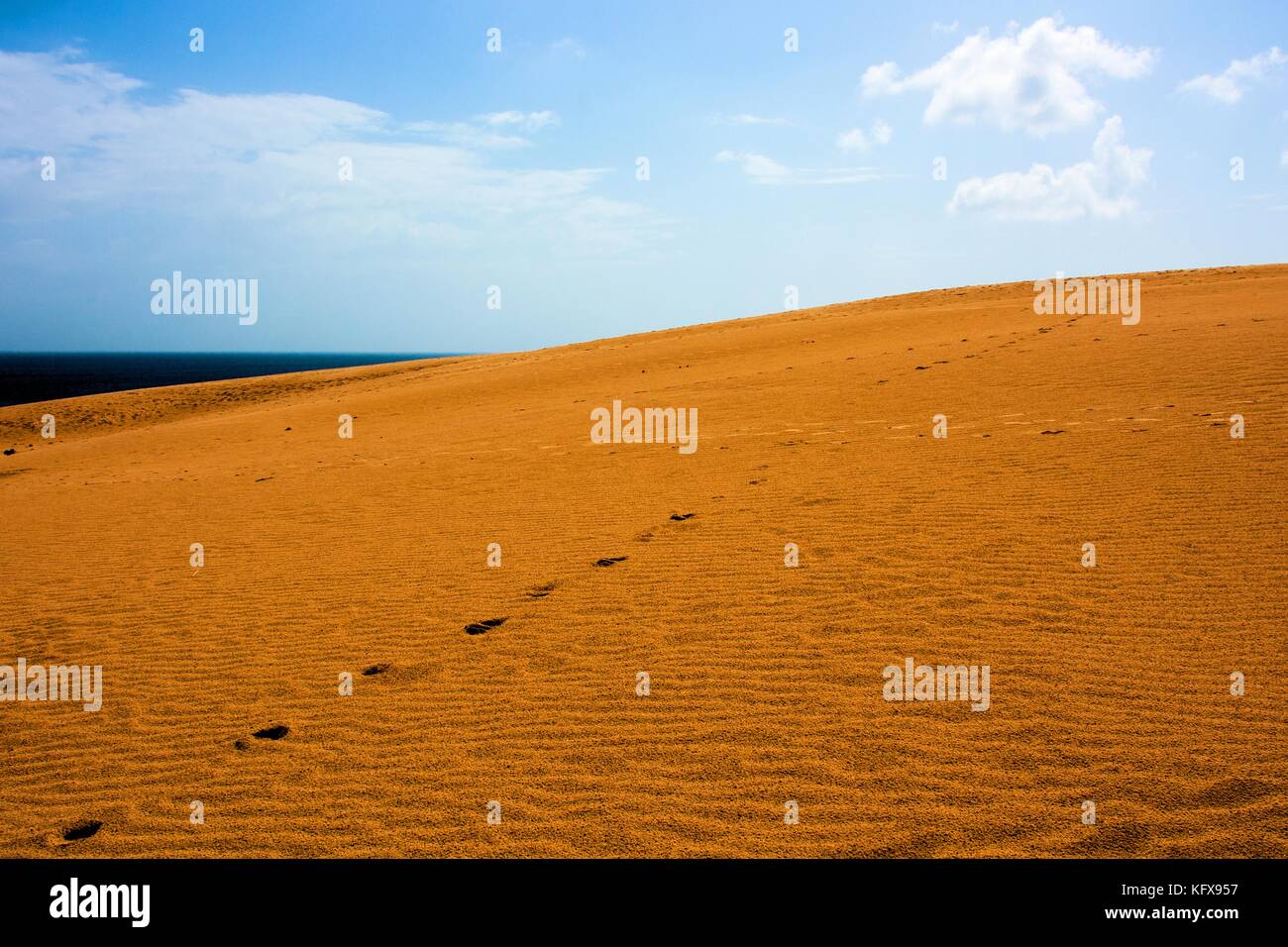 Desert with footsteps in Corralejo Natural Park Stock Photo - Alamy
