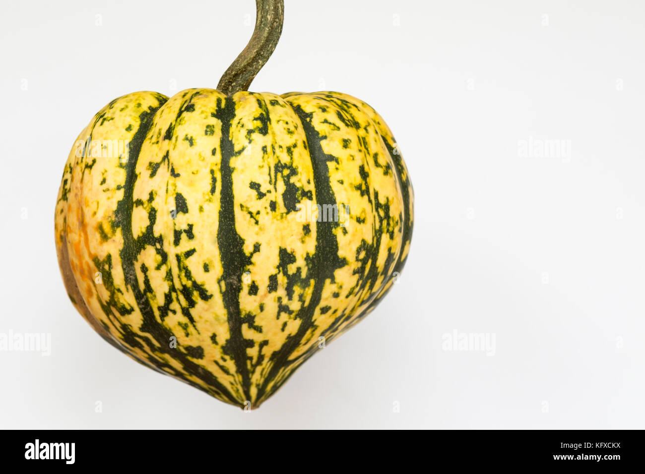 Speckled Squash High Resolution Stock Photography and Images - Alamy