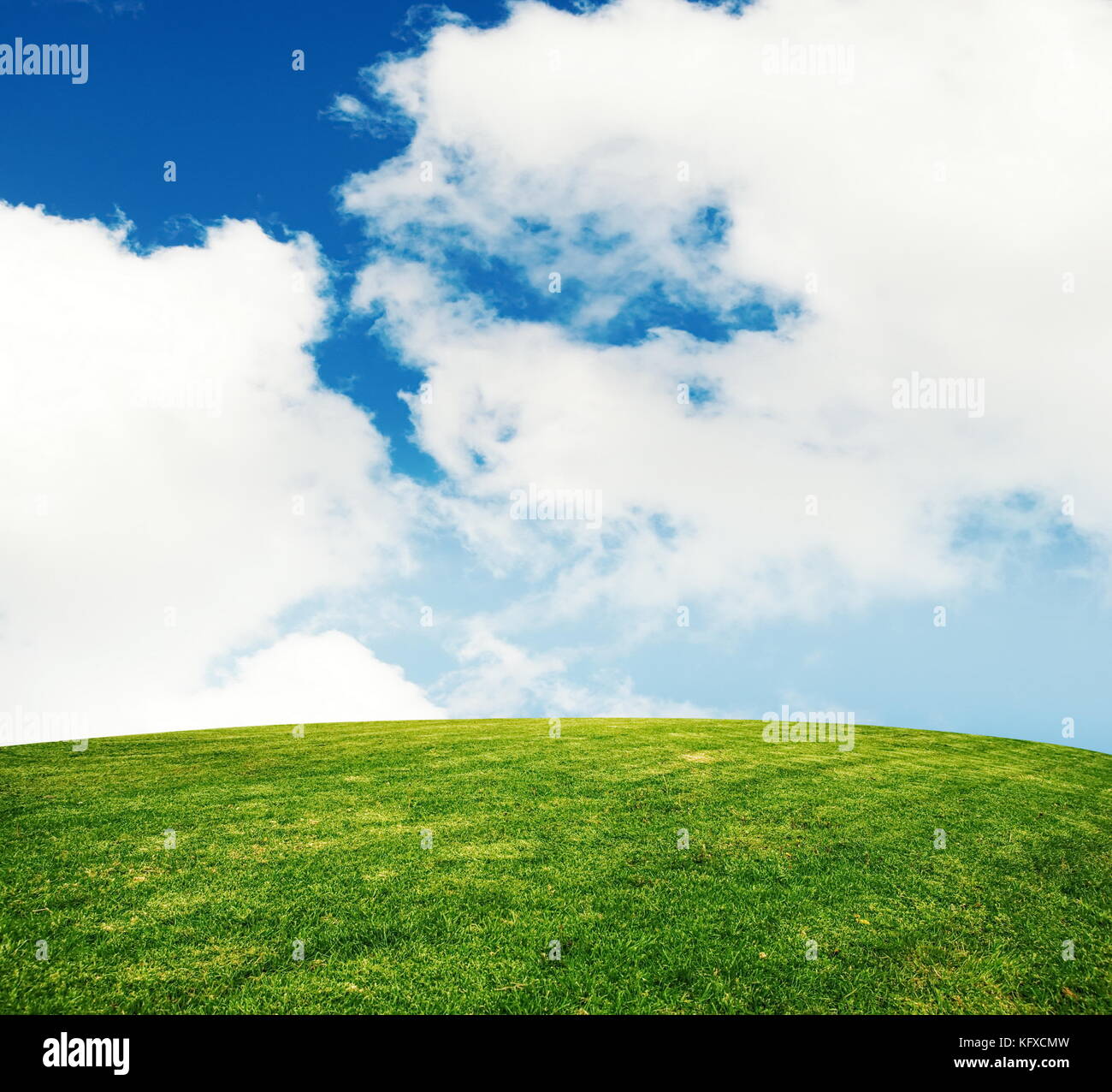 summer grass lawn with sky Stock Photo - Alamy