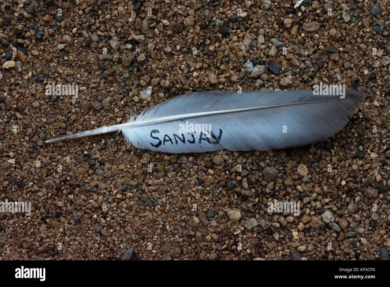 Owning your own hi-res stock photography and images - Alamy