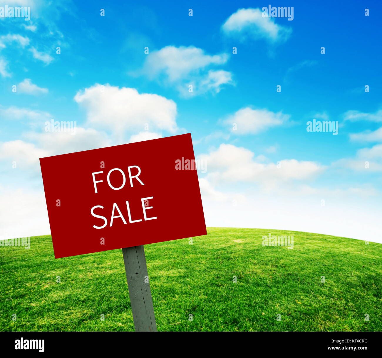 For sale sign on grass lawn Stock Photo - Alamy