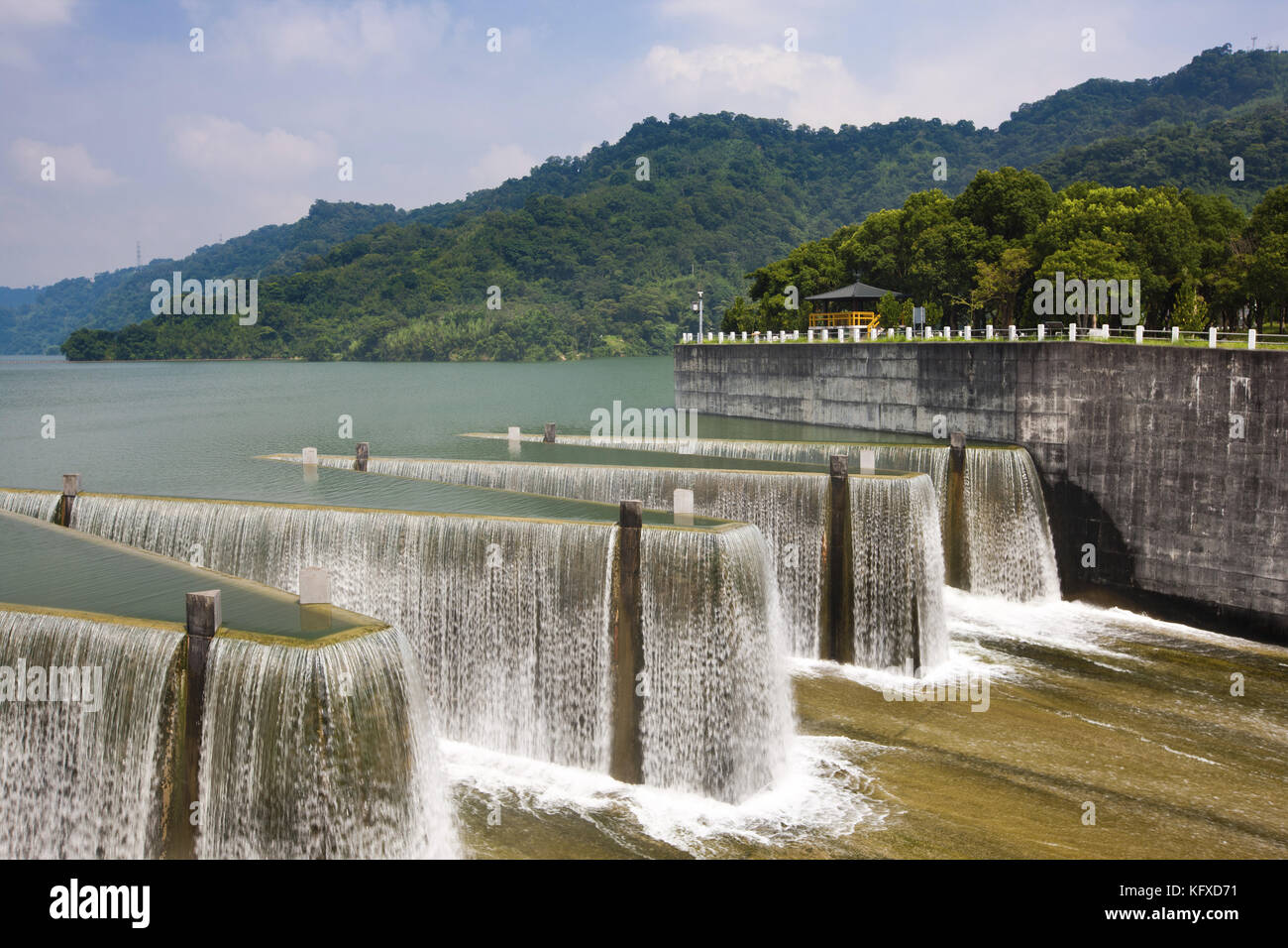 Carp lake taiwan hi-res stock photography and images - Alamy