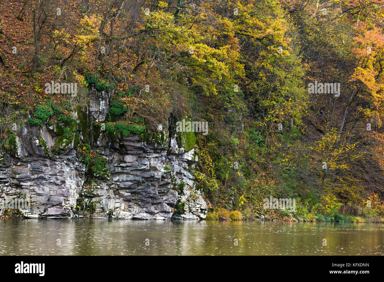 rocky cliff over the river in forest. beautiful autumn background with ...