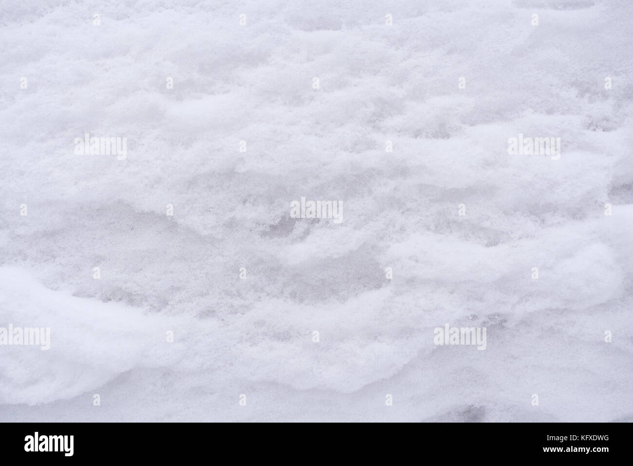 Natural background. Close-up structure of white porous, friable snowy ...