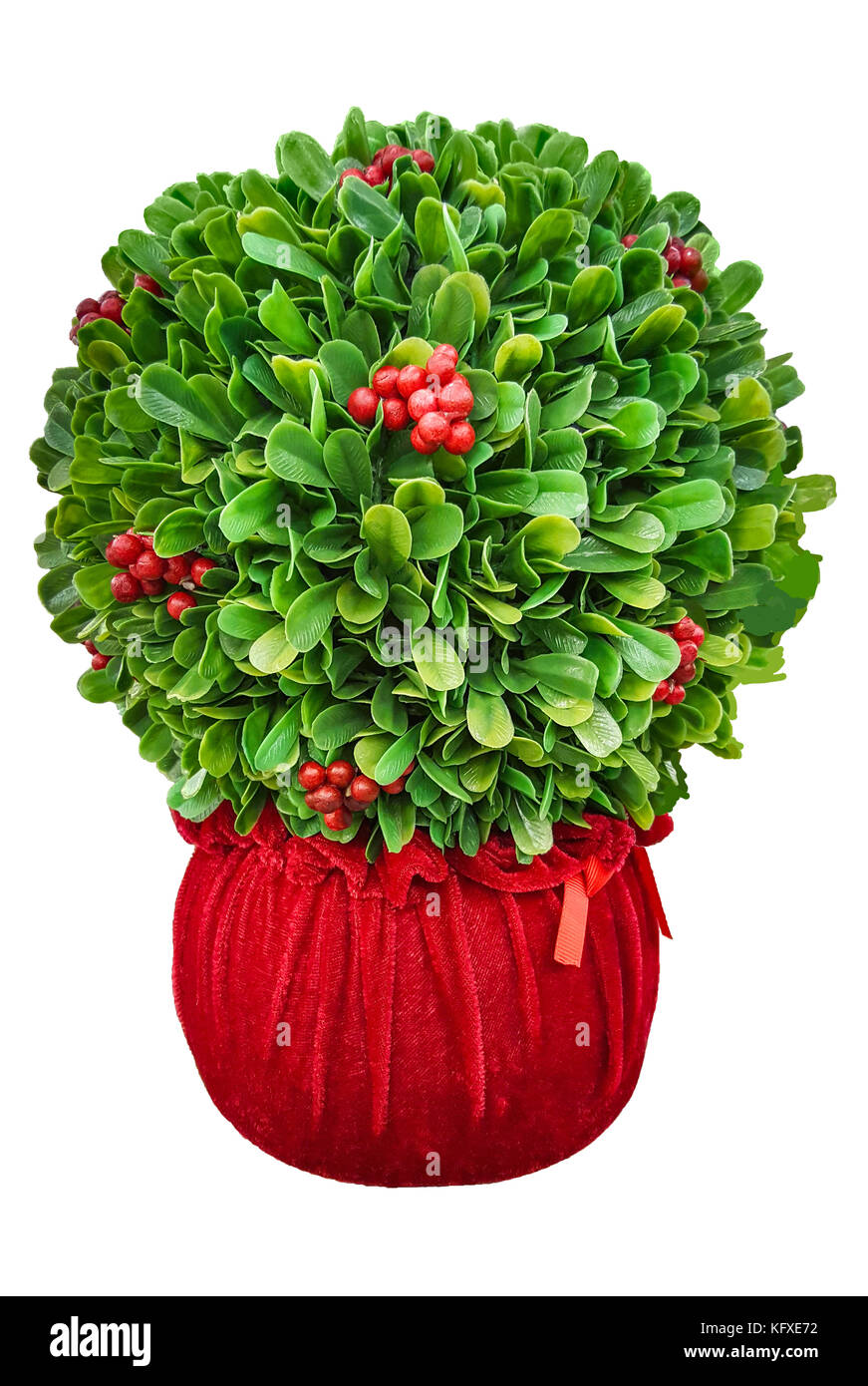 Christmas bush decor centerpiece isolated on white background. Boxwood ...