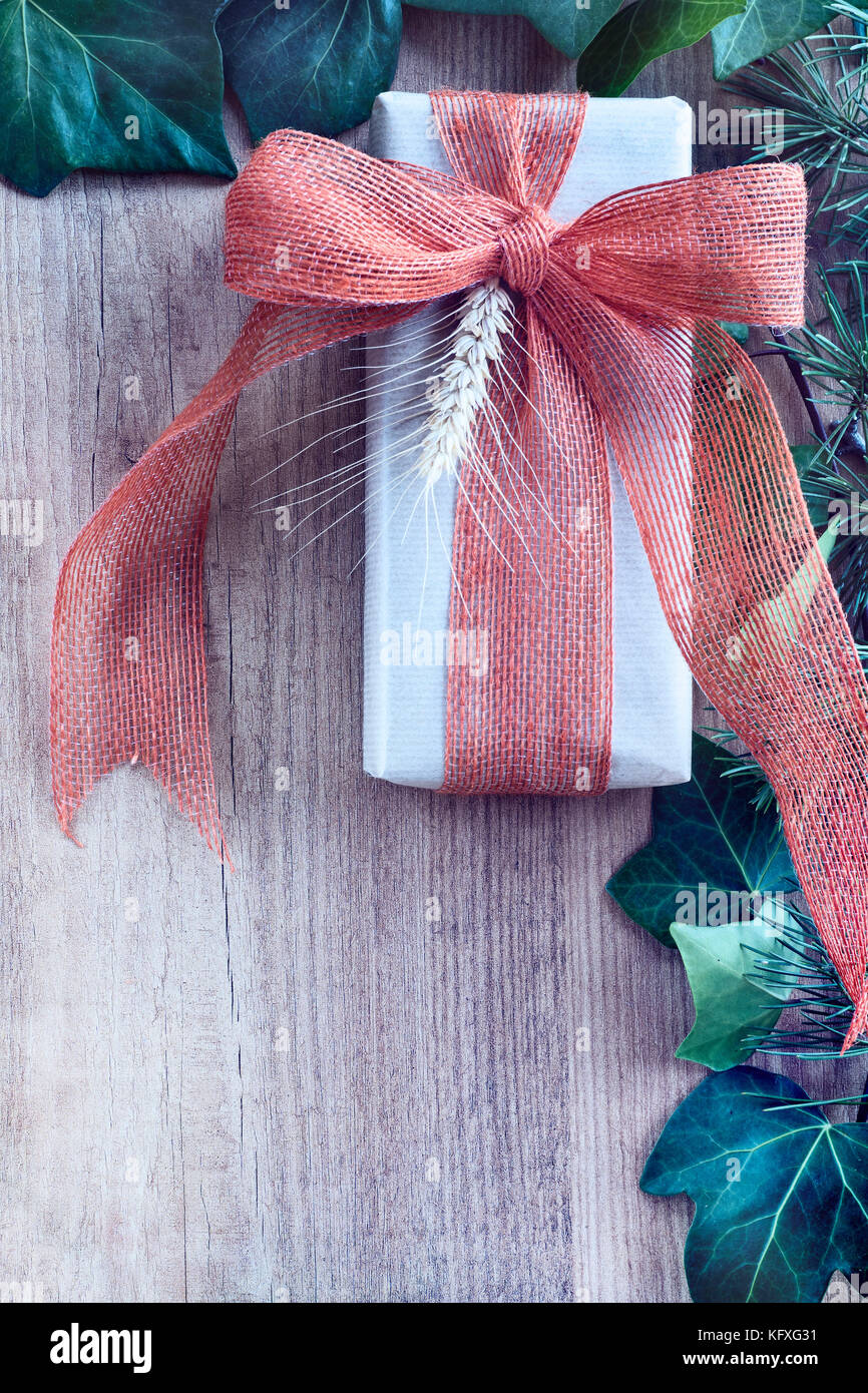Wrapping rustic gift with orange ribbon and sprig, framed with ivy ...