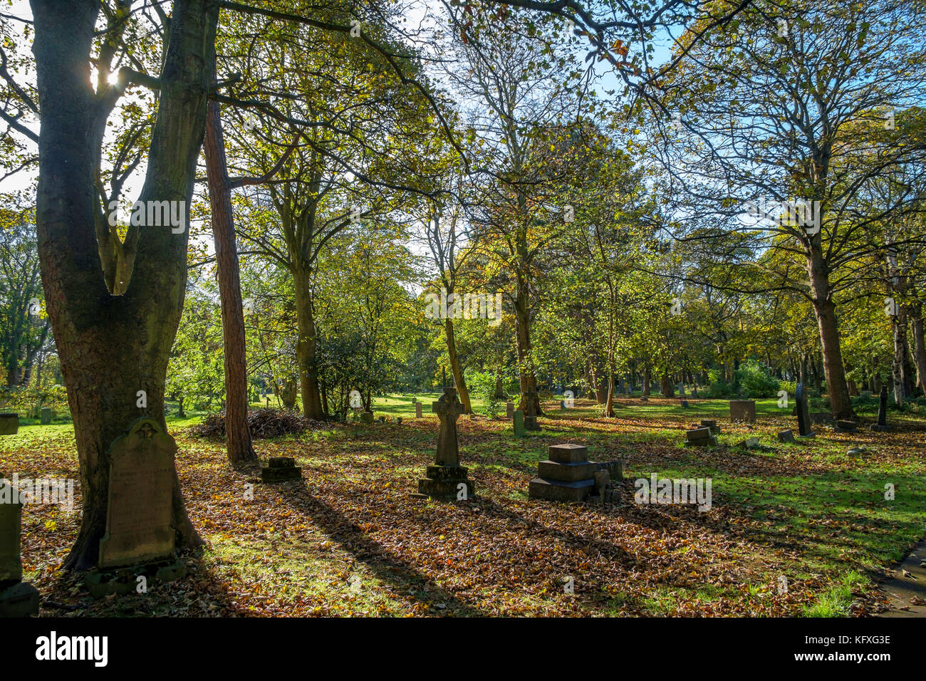 Autumn sunlight in the atmospheric Linthorpe Cemetery Nature Reserve ...