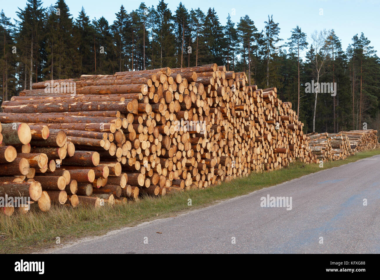 pile of logs Stock Photo - Alamy
