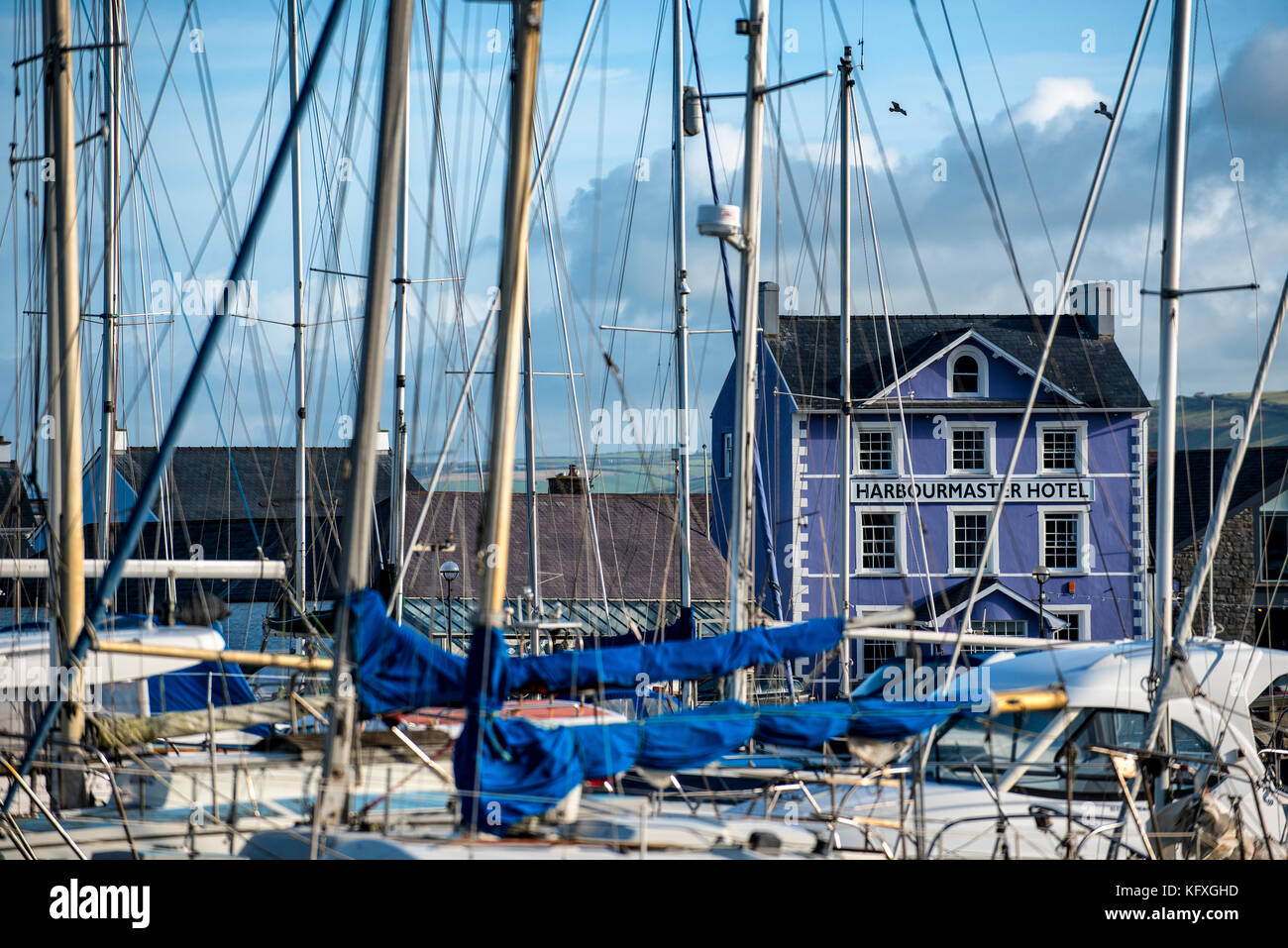 Harbourmaster restaurant aberaeron hi-res stock photography and images ...