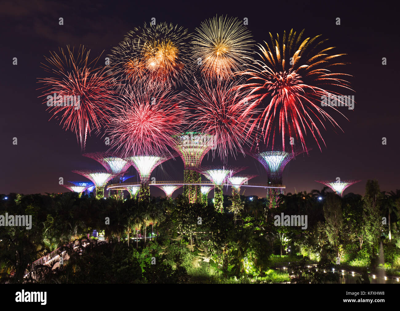 beautiful firework over Gardens by the bay with light at night ...