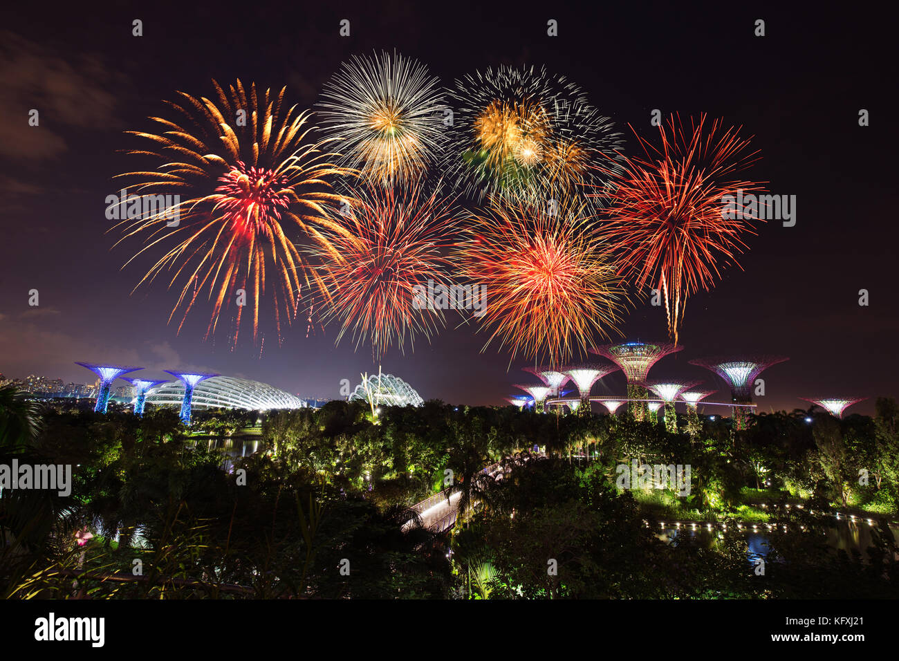 beautiful firework over Gardens by the bay with light at night ...