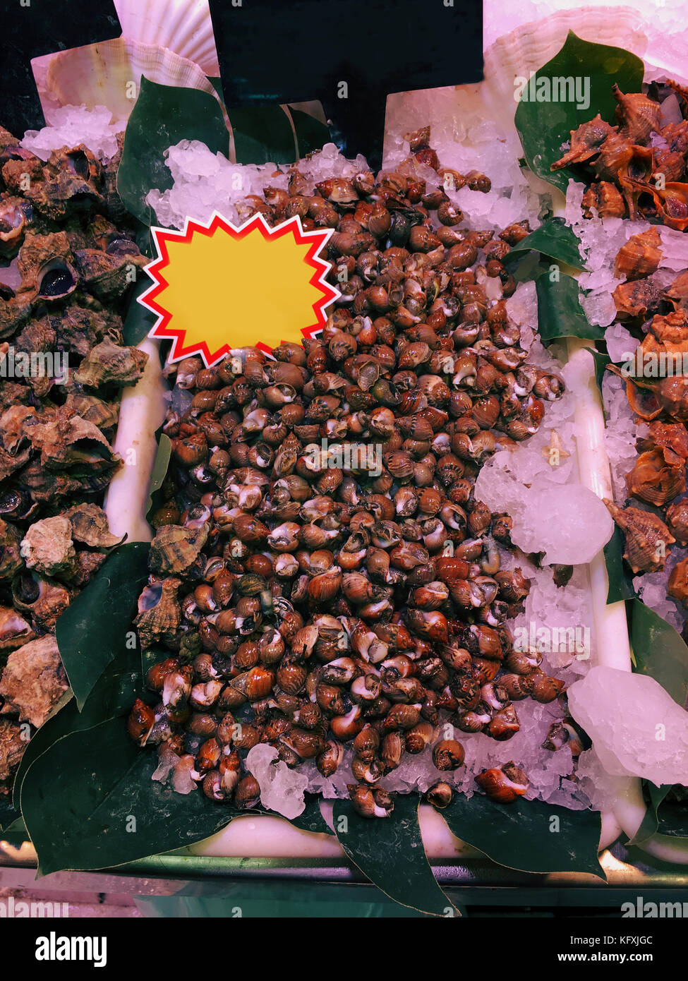 Different kind of seafood in the market. Fresh rapans, mussels ...