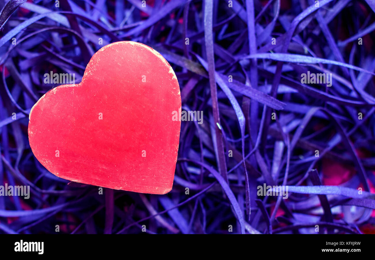 Pink and red heart shape on top of purple and blue hay background ...