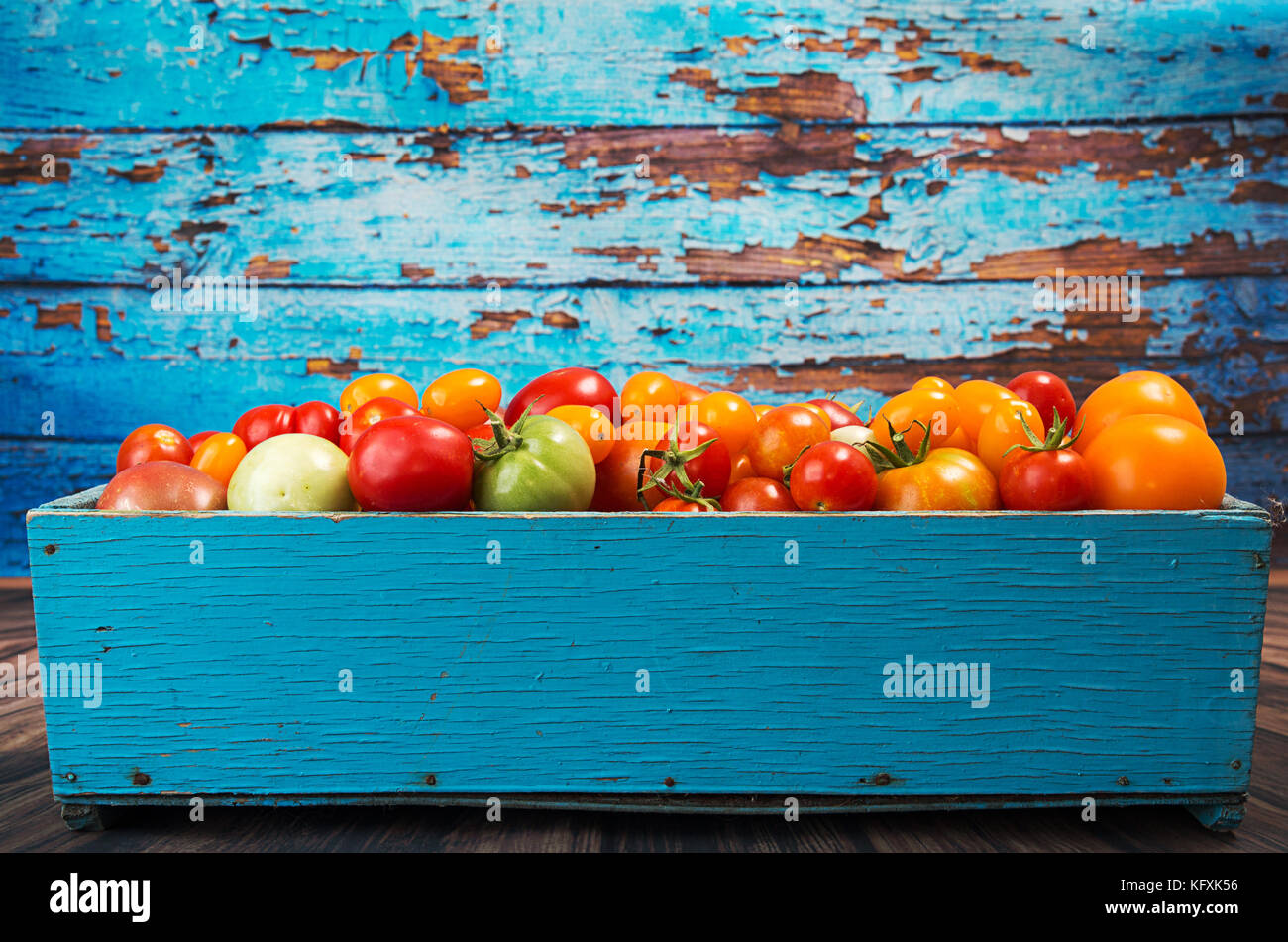 Various different color organic homegrown tomatoes in blue box against ...