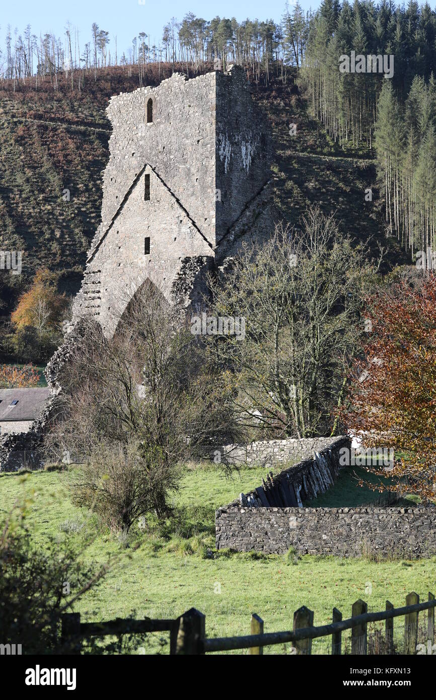 The ruins of Talley Abbey Stock Photo - Alamy