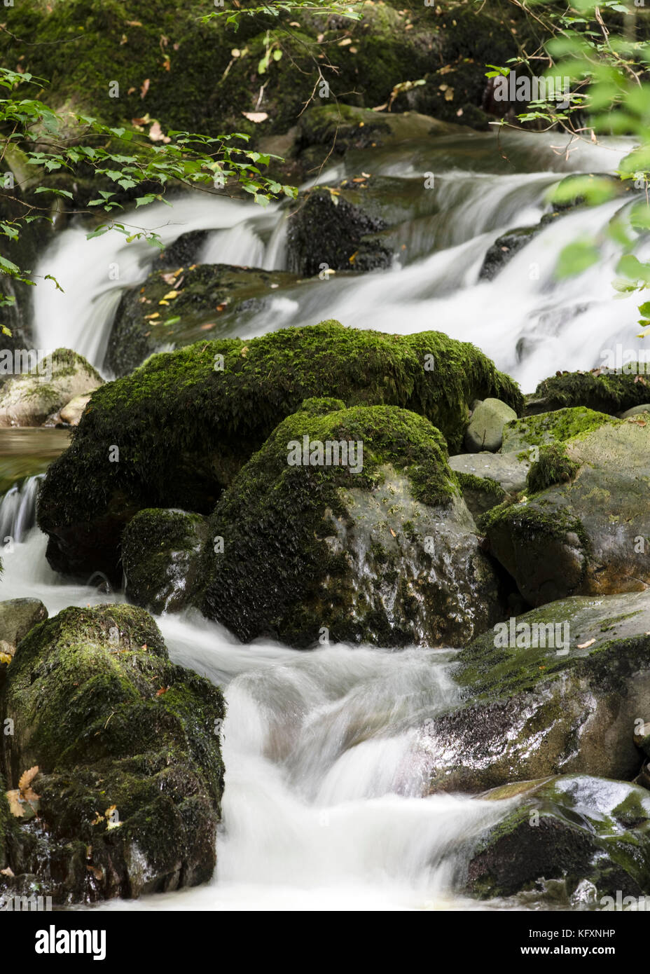Water flowing below Stockghyll Force, Ambleside, Cumbria, UK Stock ...