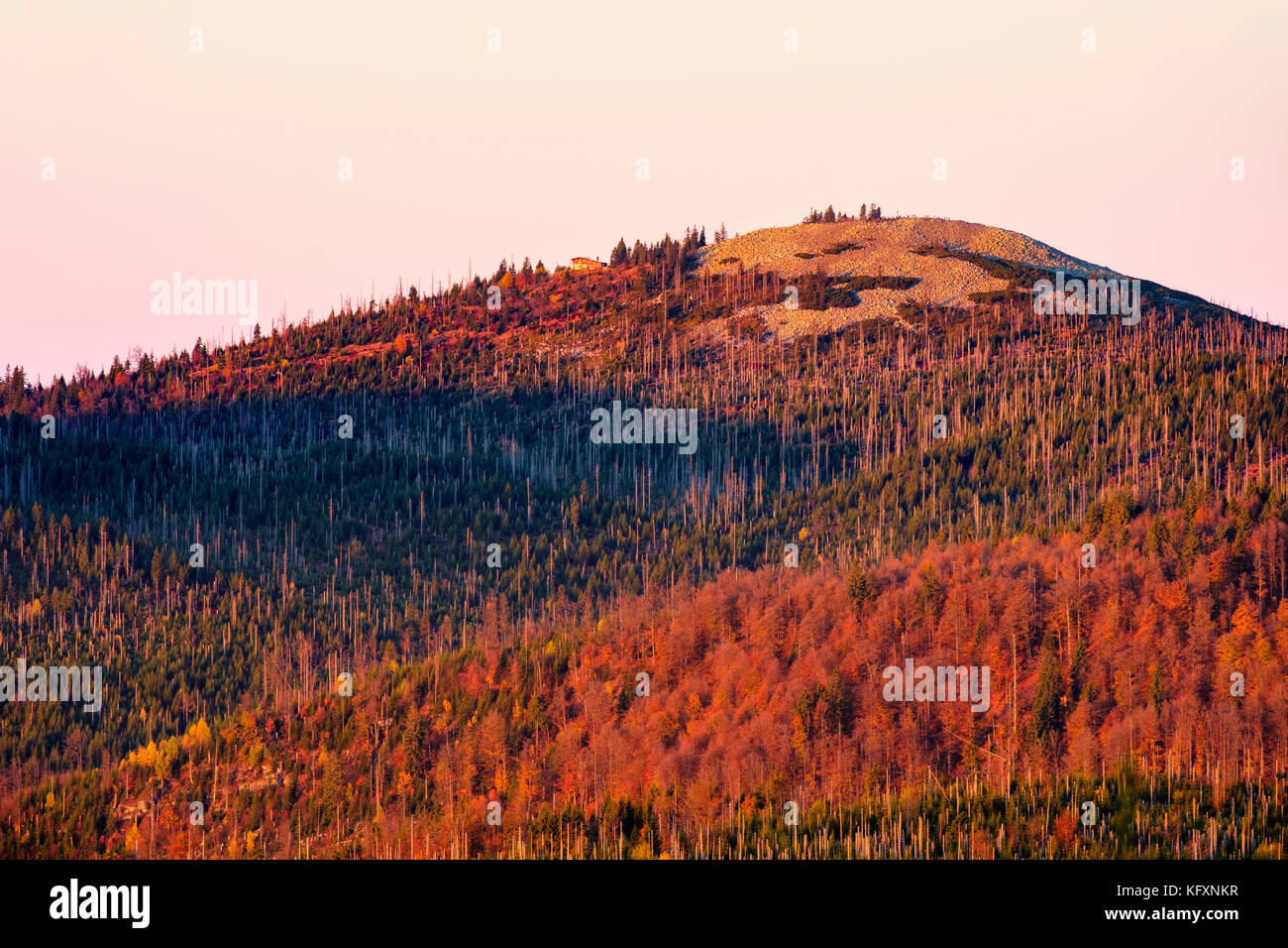 Lusen hi-res stock photography and images - Alamy