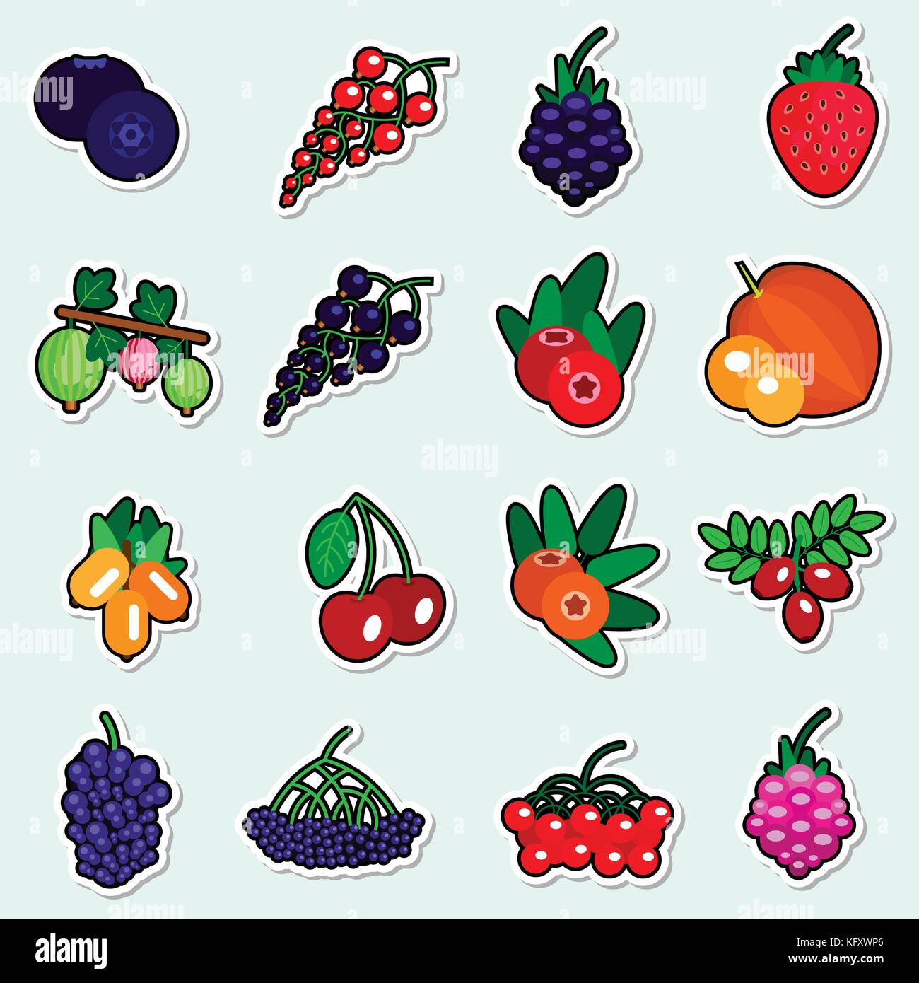 Cape gooseberry on plant Stock Vector Images - Alamy