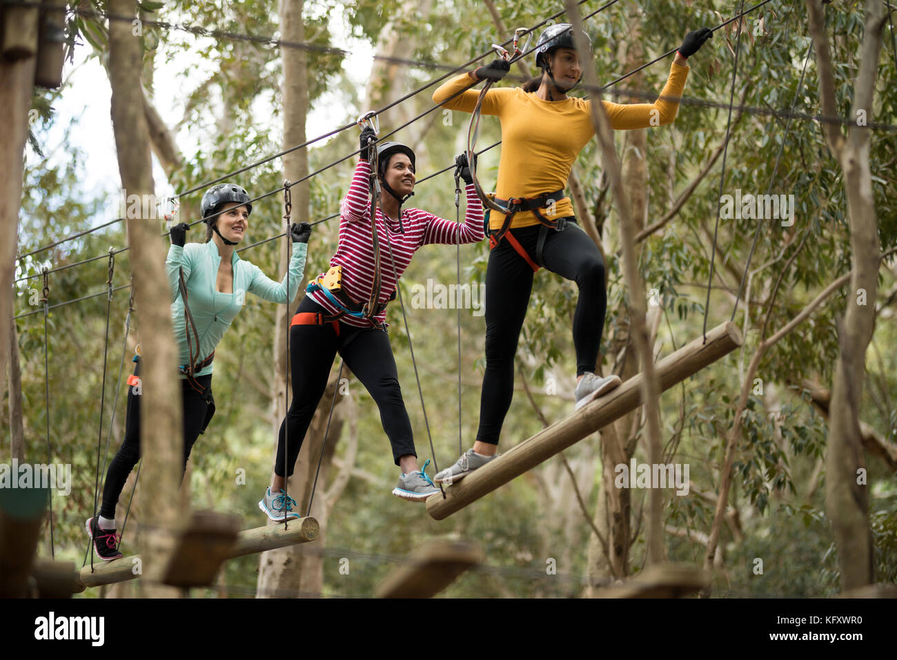 Happy Friends enjoying zip line adventure in park Stock Photo - Alamy